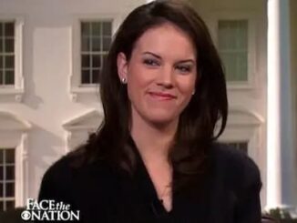 Kelly Evans CNBC -Wikipedia, Where is Kelly Evans? Full Bio & Net Worth